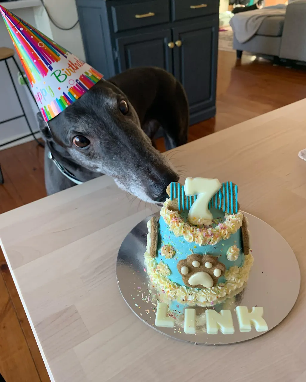 Small Dog Birthday Cake - Doghouse Cafe