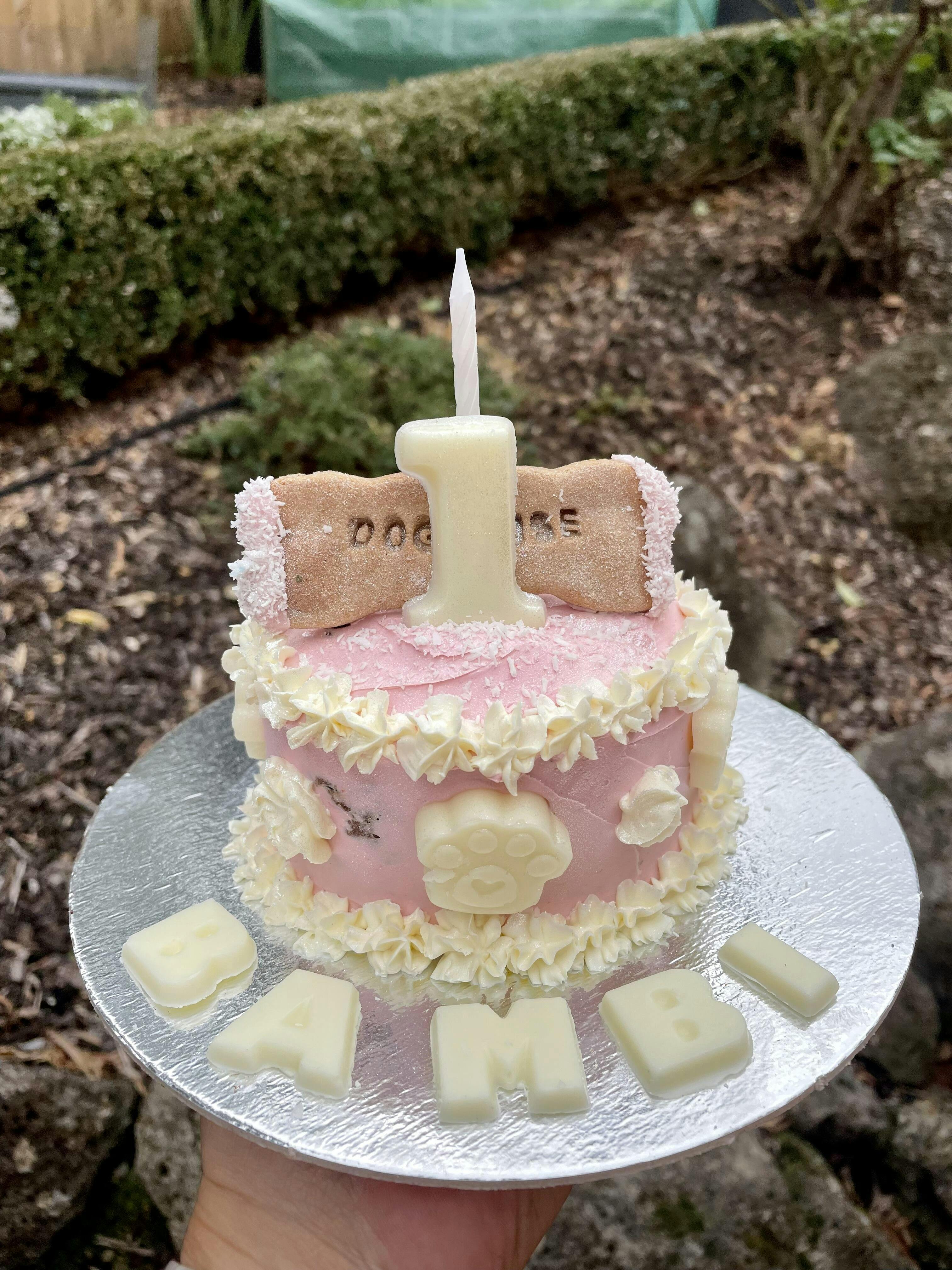 Small Dog Birthday Cake - Doghouse Cafe