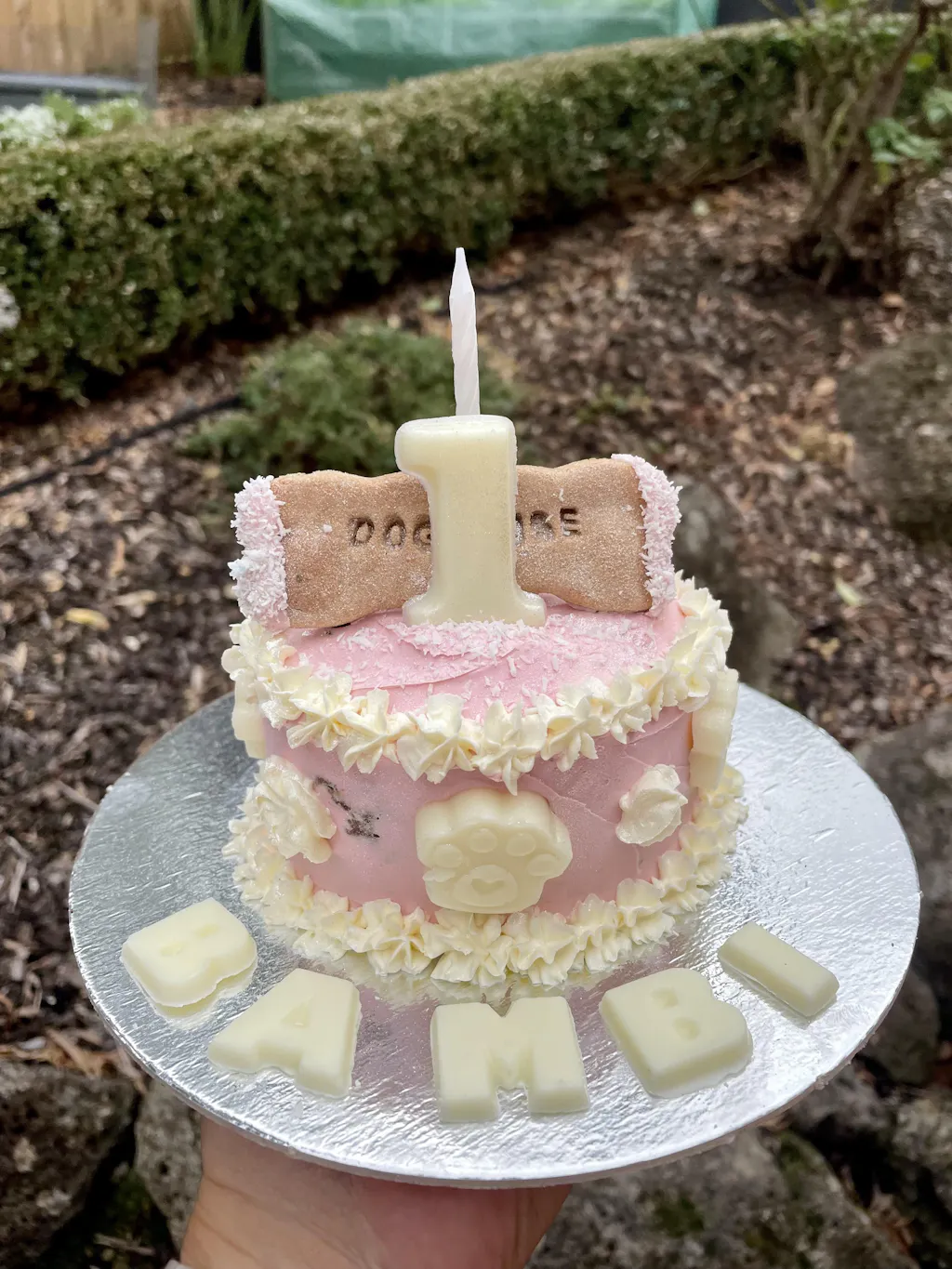 Small Dog Birthday Cake - Doghouse Cafe