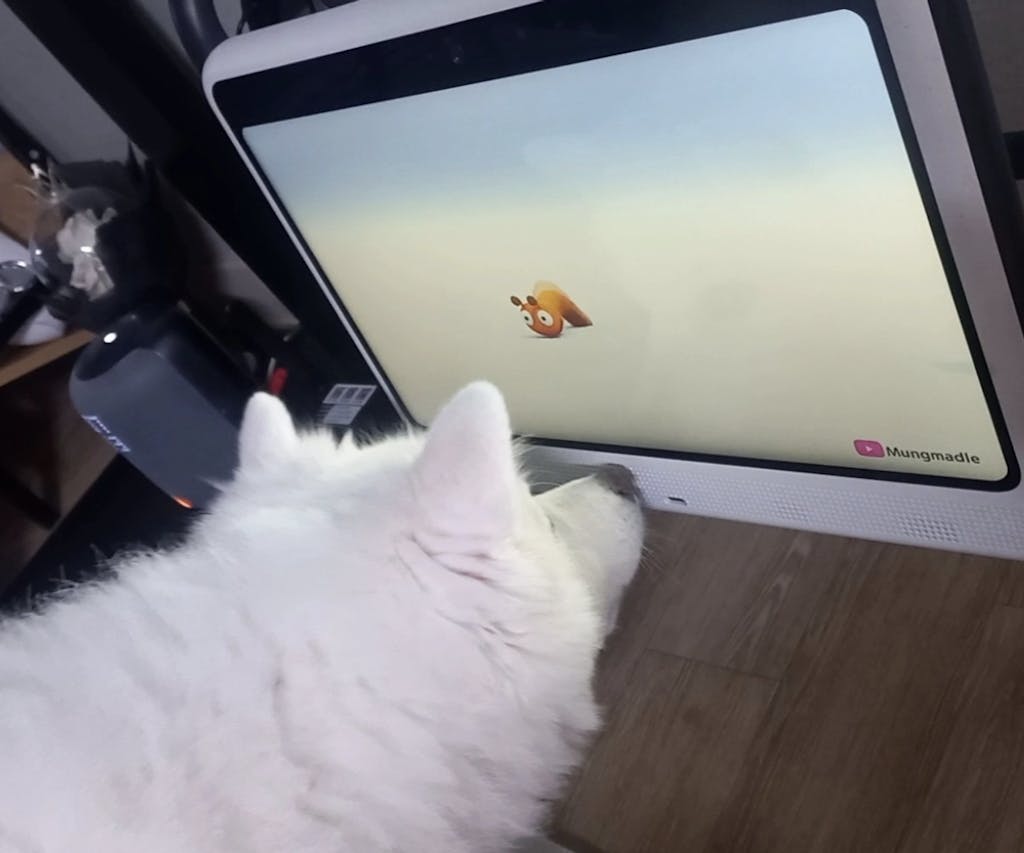 DOGSPLAY - SMART TV FOR DOGS – Dogie TV