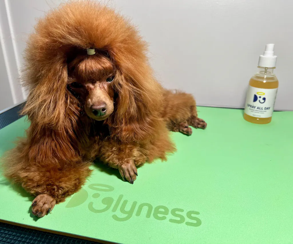 Doglymat™ by Doglyness | Eco-friendly dog grooming table mat – Doglyway