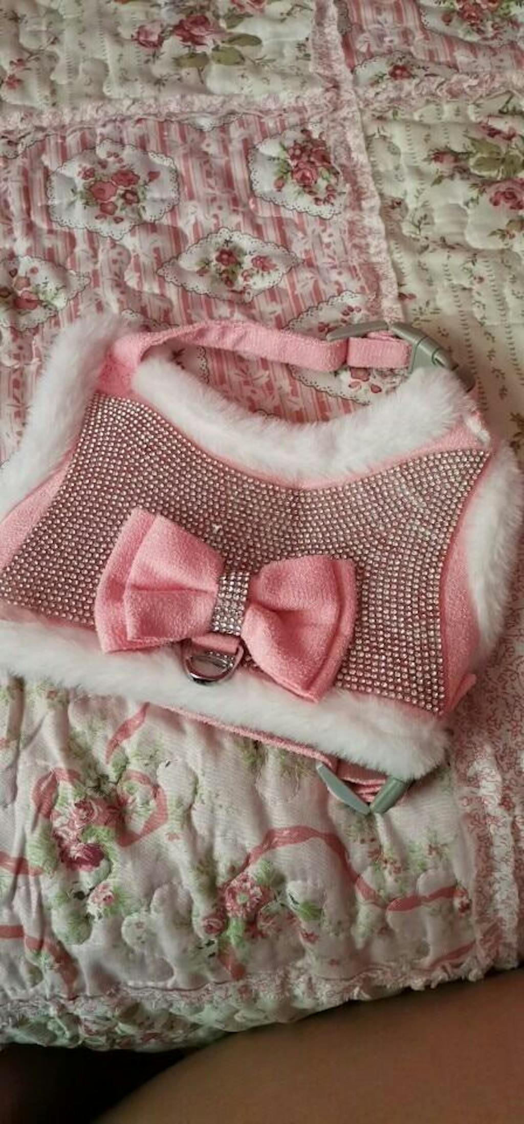 Dog Harness And Leash Set – With A Cute Bow – DogMega.Com