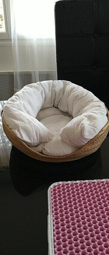 Hand-woven Bamboo Crib For Dog – DogMega.Com