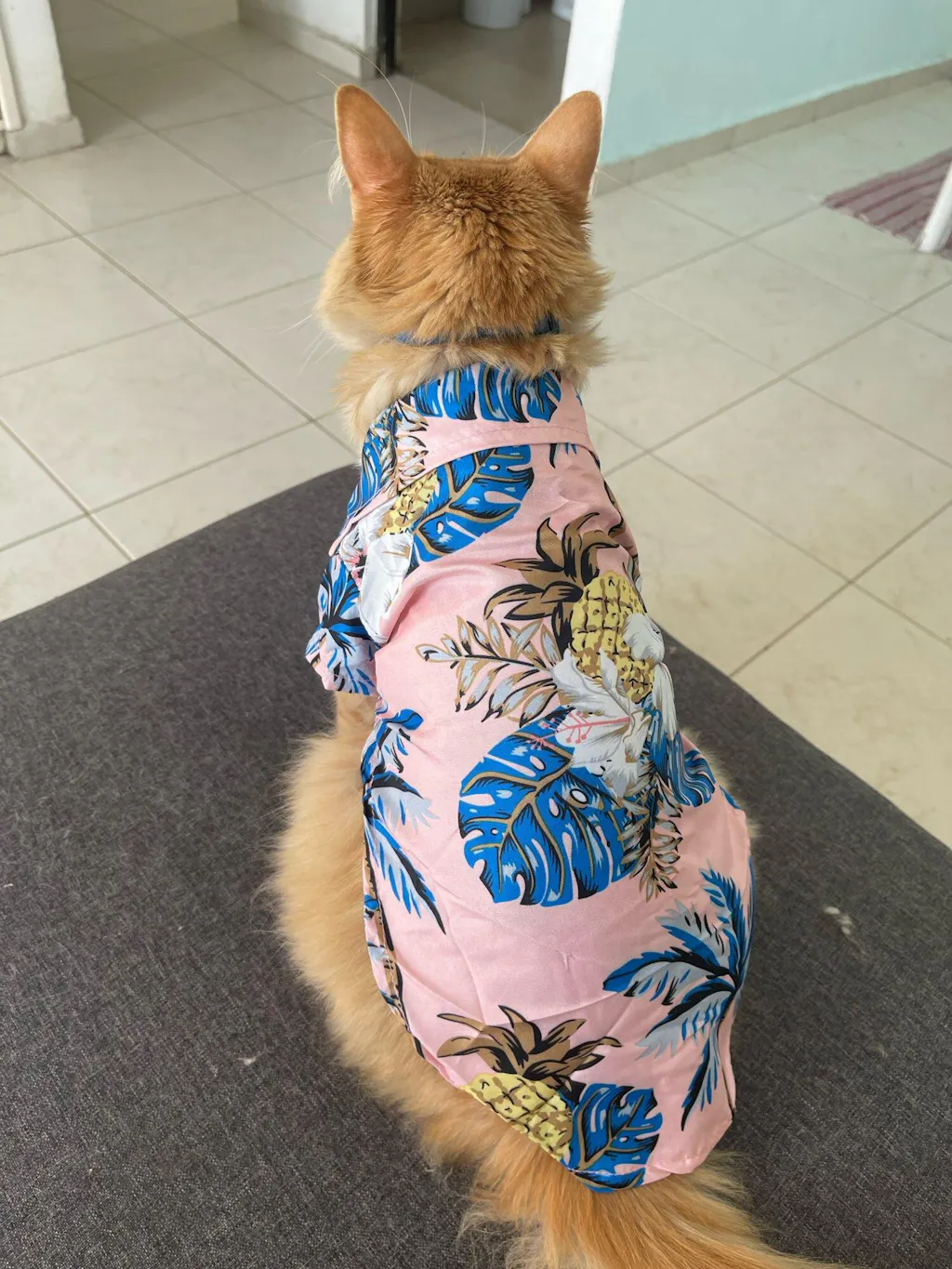 Hawaiian Beach-Style T-Shirt For Dogs – DogMega.Com