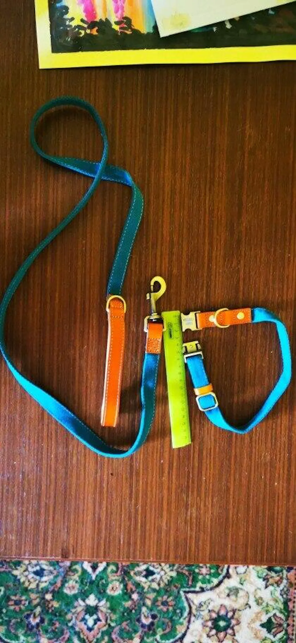 Dog Personality Collar – Bright Colors – DogMega.Com
