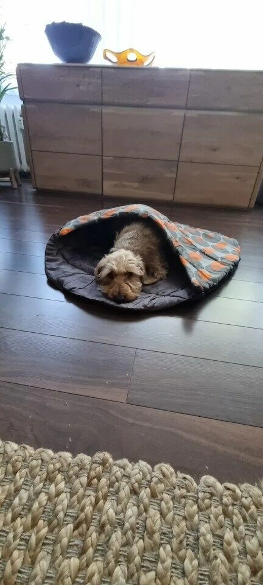 Waterproof Dog Sleeping Bag | Mat Cushion For Camping Travel – DogMega.Com