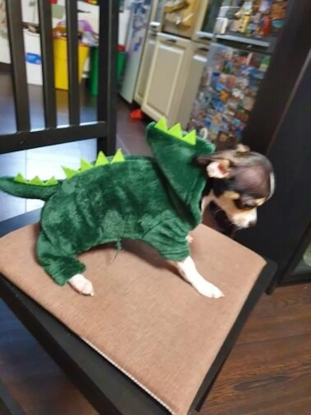 Dinosaur costume for dogs – A little bit of fun and cute – DogMega.Com