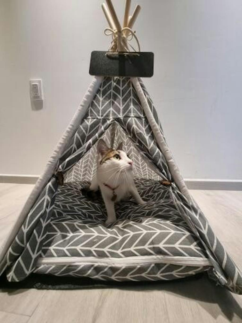 Teepee Dog Bed | Puppy Teepee | Teepee Dog House | Dog Teepee with ...