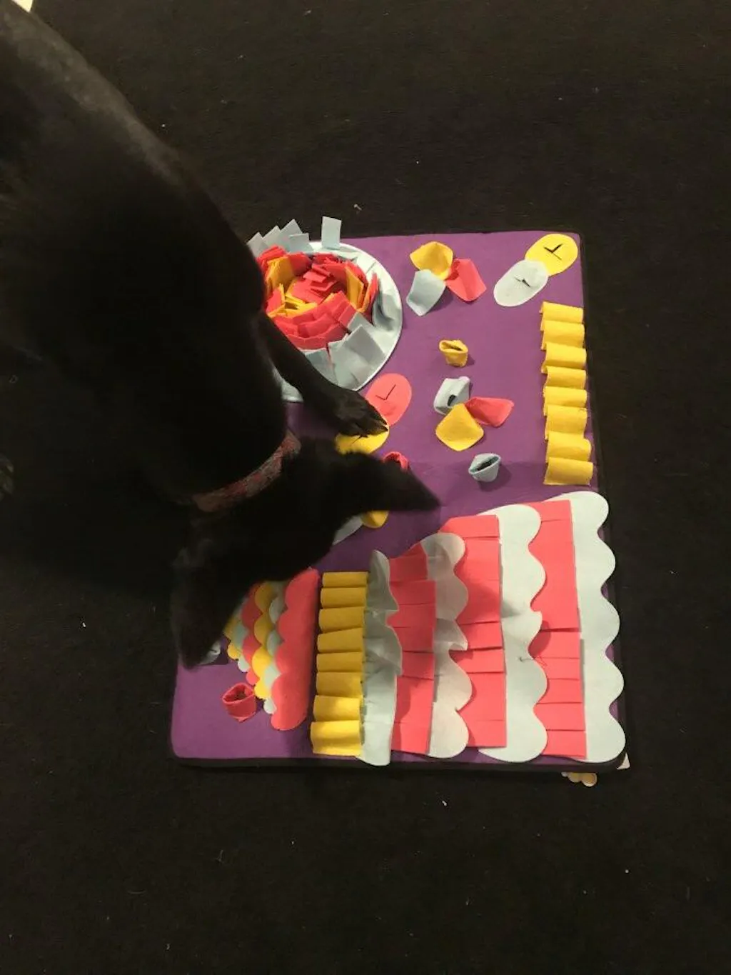 Snuffle Pad for Dogs | Puppy Snuffle Mat | Snuffle Mat – DogMega.Com