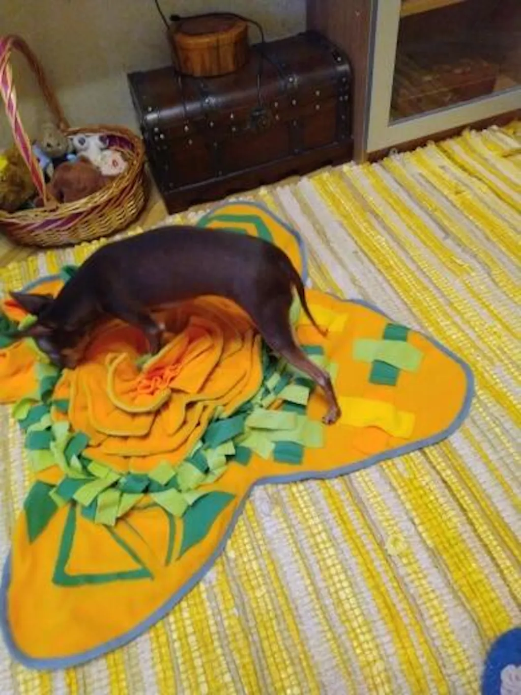 Snuffle Pad for Dogs | Puppy Snuffle Mat | Snuffle Mat – DogMega.Com