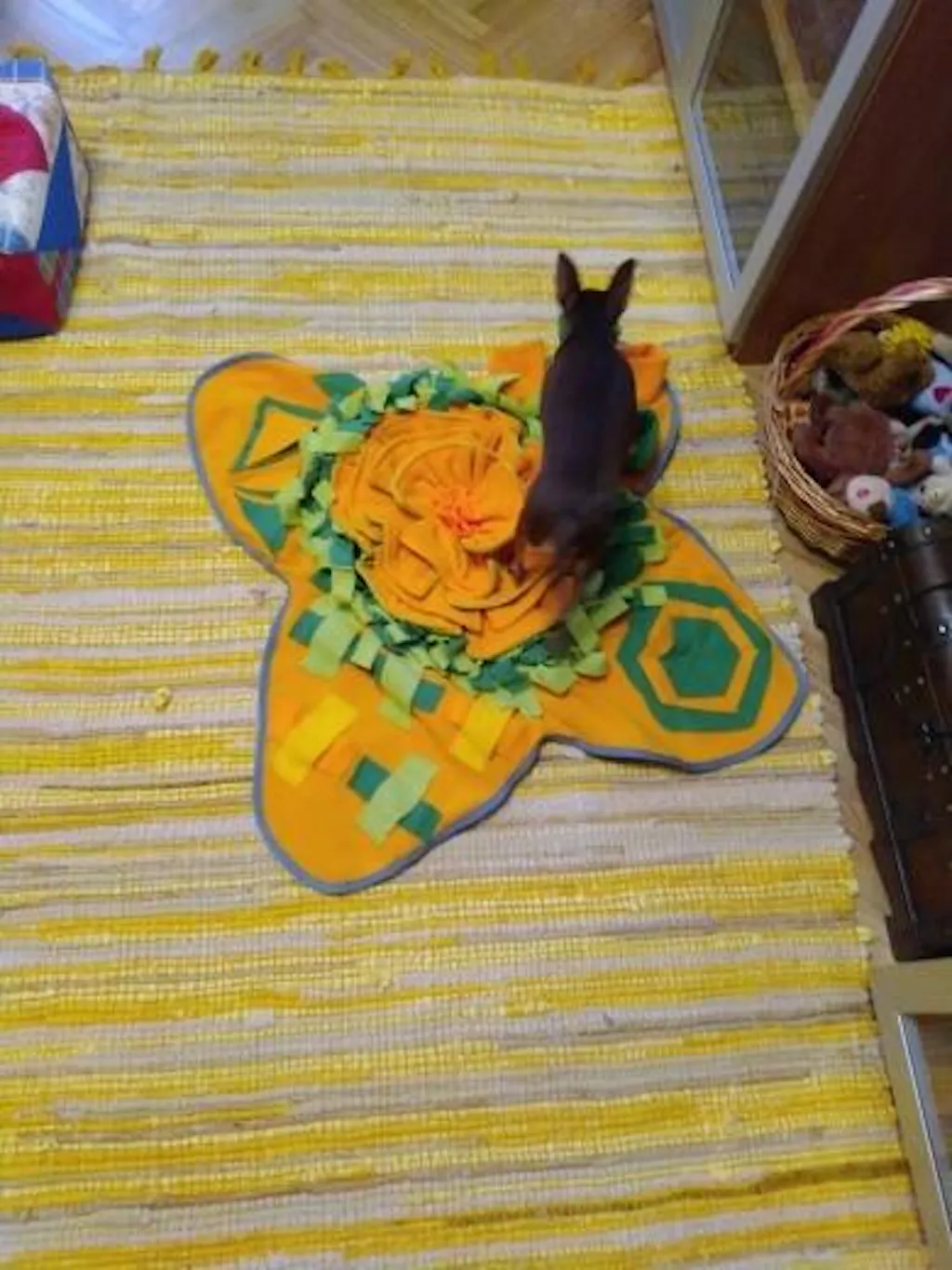 Snuffle Pad for Dogs | Puppy Snuffle Mat | Snuffle Mat – DogMega.Com