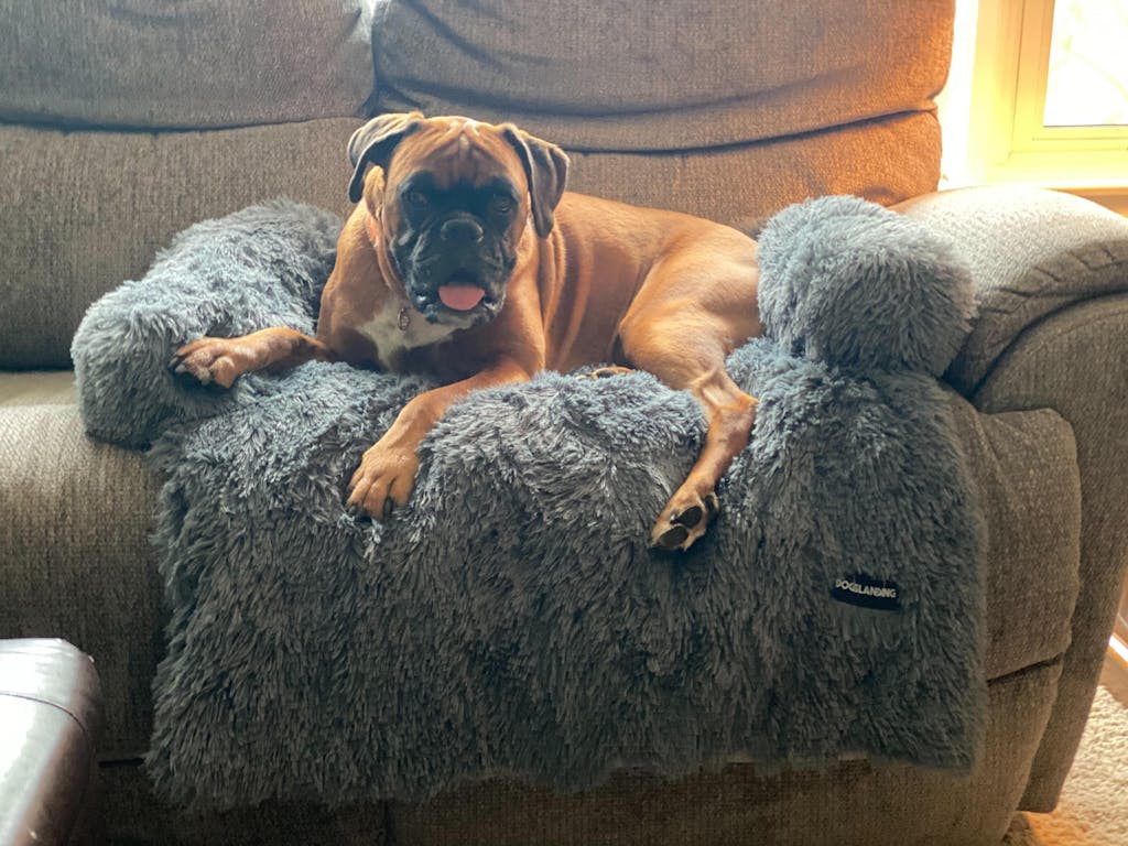 Dogslanding™ - Innovative pieces of comfort– DogsLanding