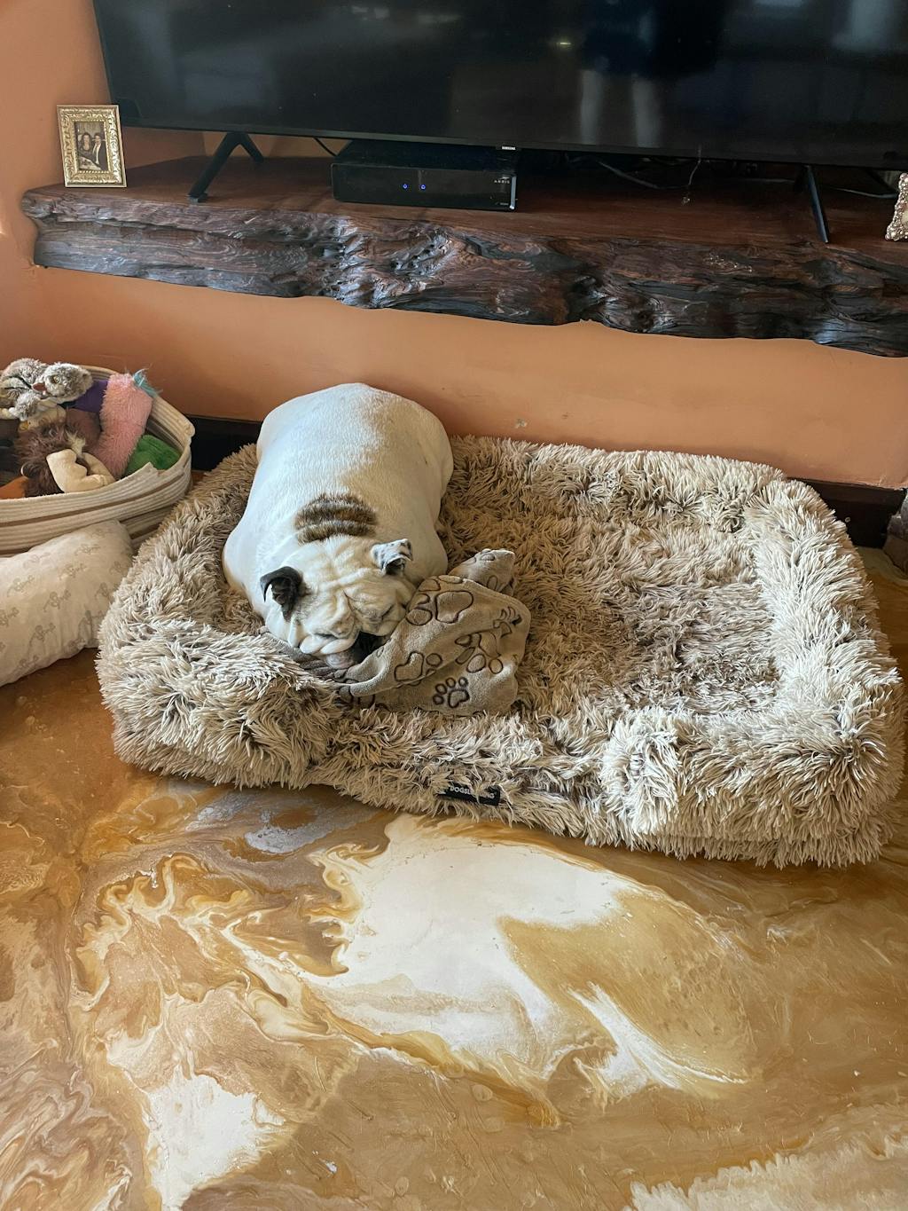 Dogslanding™ - Innovative pieces of comfort – DogsLanding