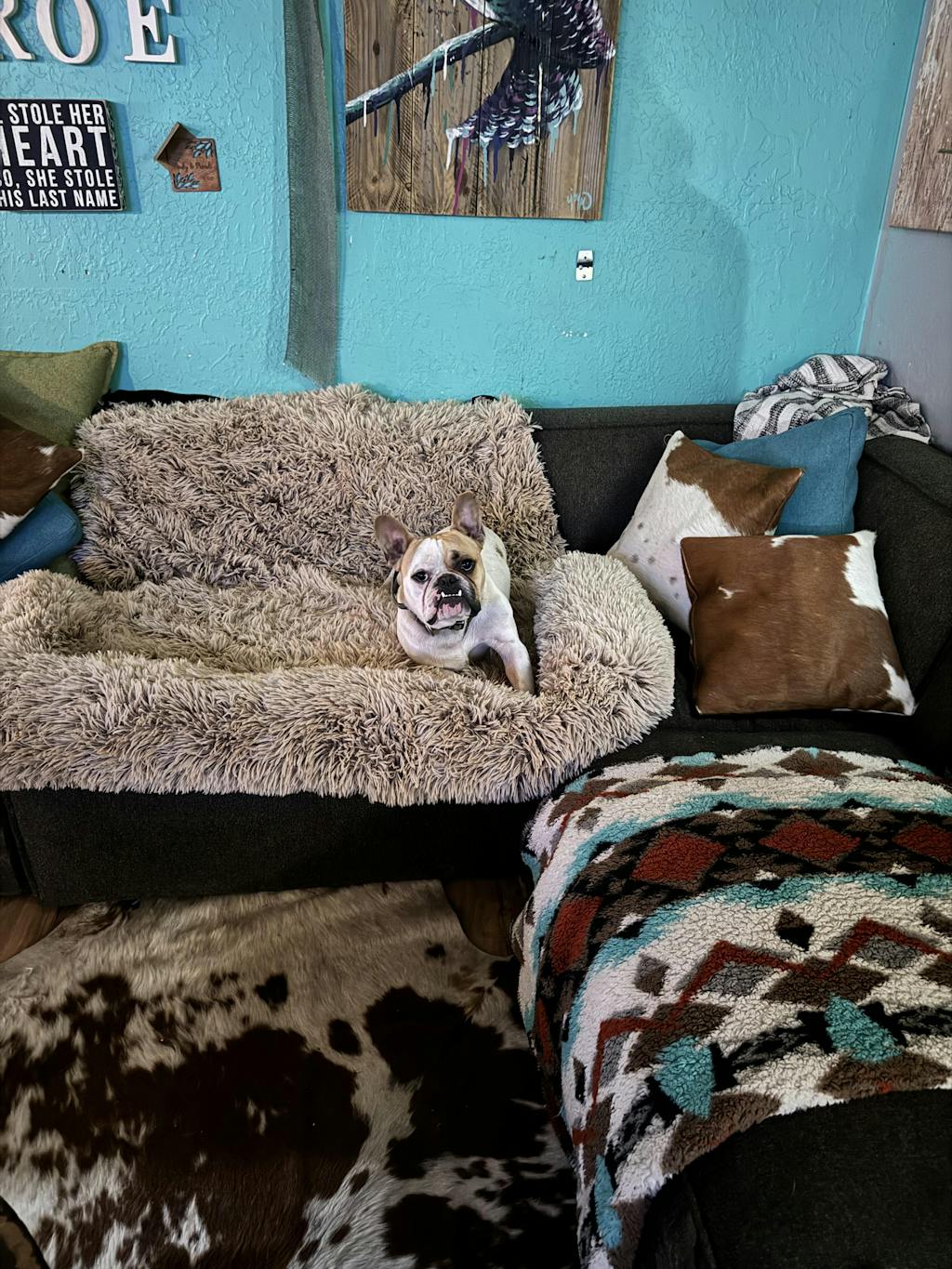 Dogslanding™ - Innovative pieces of comfort