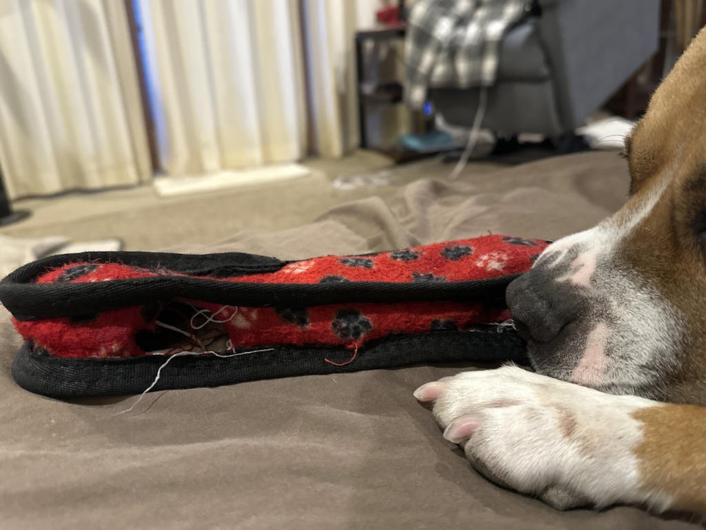 Tuffy Dog Toys Ultimate Tuff Bone Durable Dog Toy – DogTuff