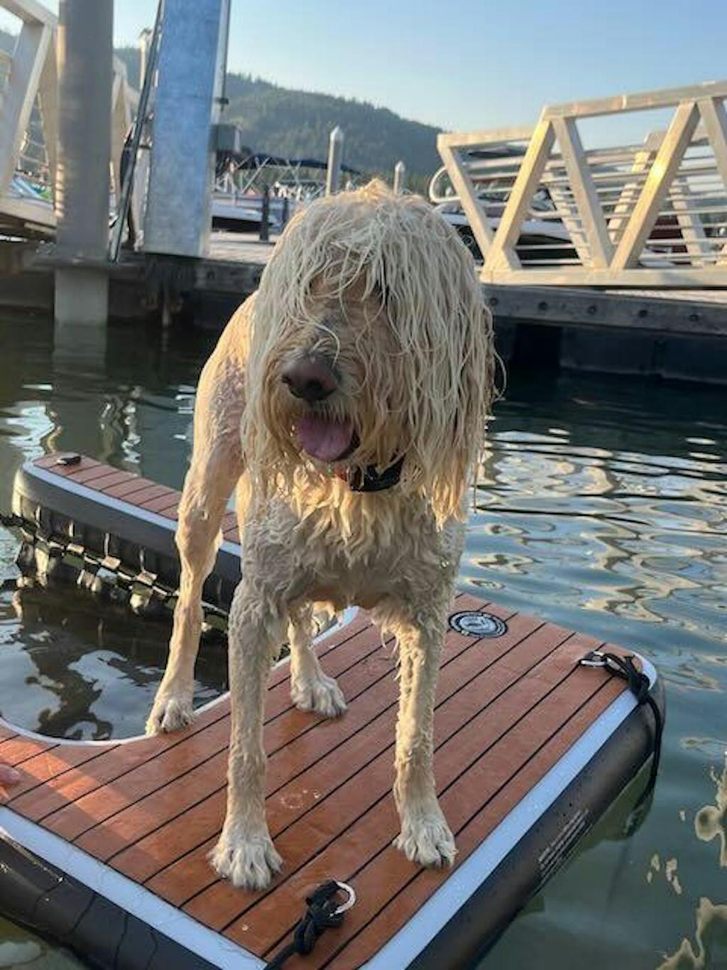 Dog-DOK Inflatable Dog Boat Ramp