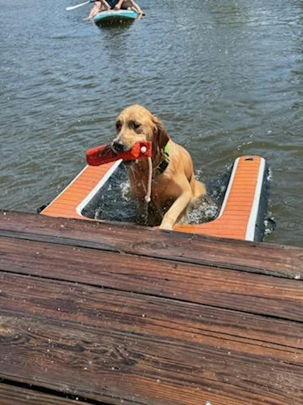 Dog-DOK Inflatable Dog Boat Ramp