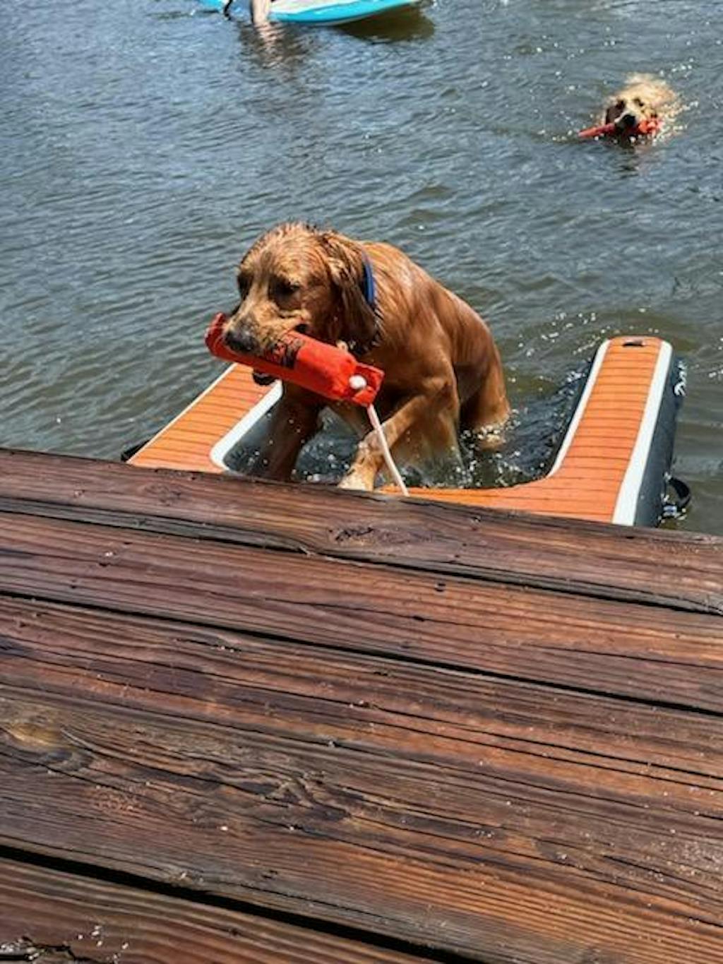Dog-DOK Inflatable Dog Boat Ramp