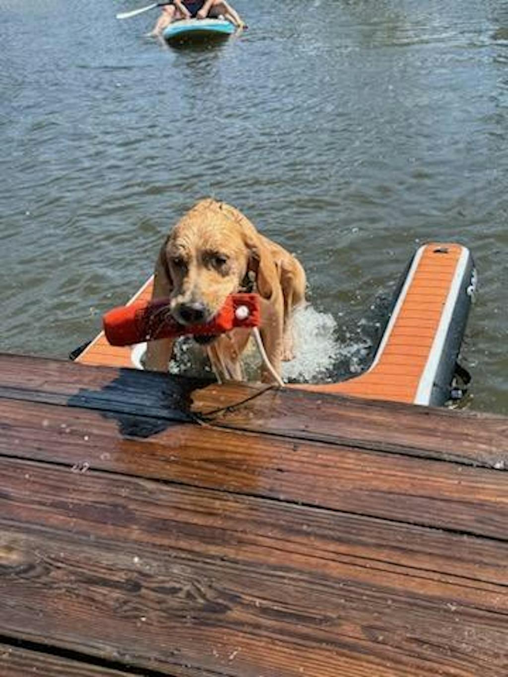 Dog-DOK Inflatable Dog Boat Ramp