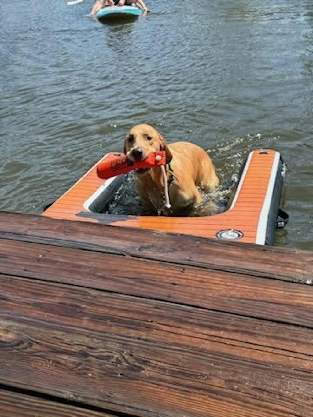 Dog-DOK Inflatable Dog Boat Ramp