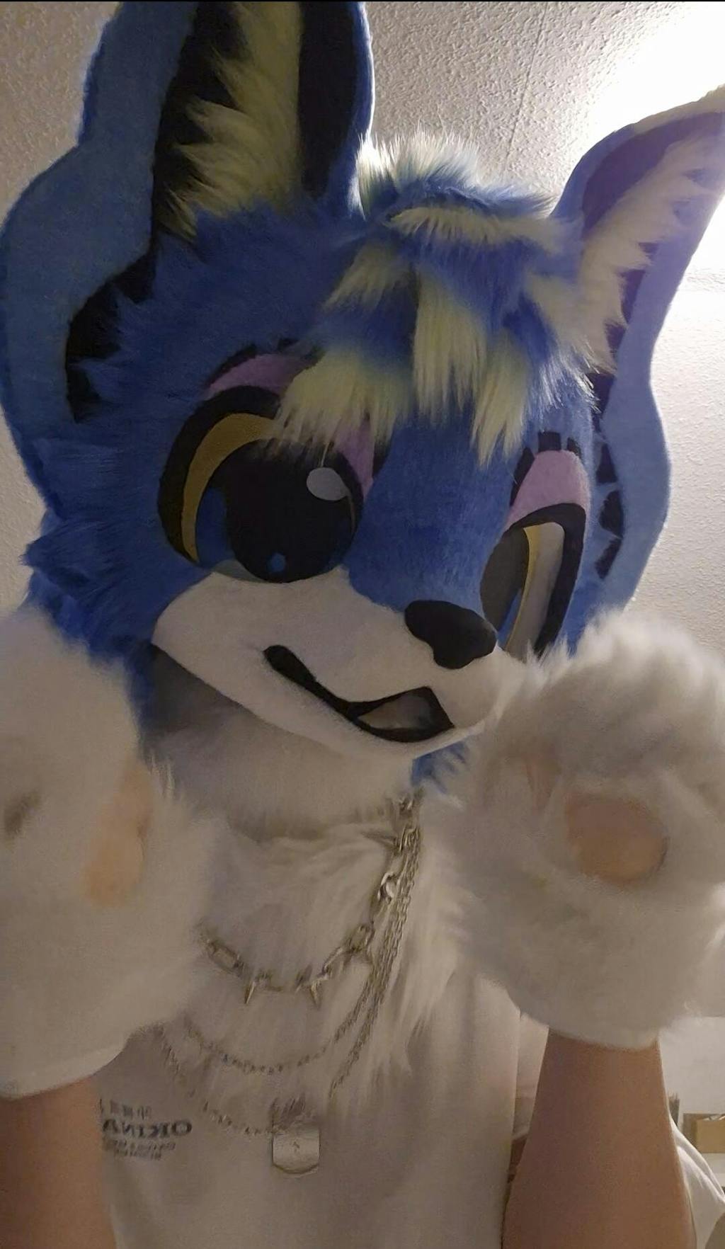 Kemono Fursuits: Handmade Anime-Style Furry Costumes – DokiDokiFursuit ...