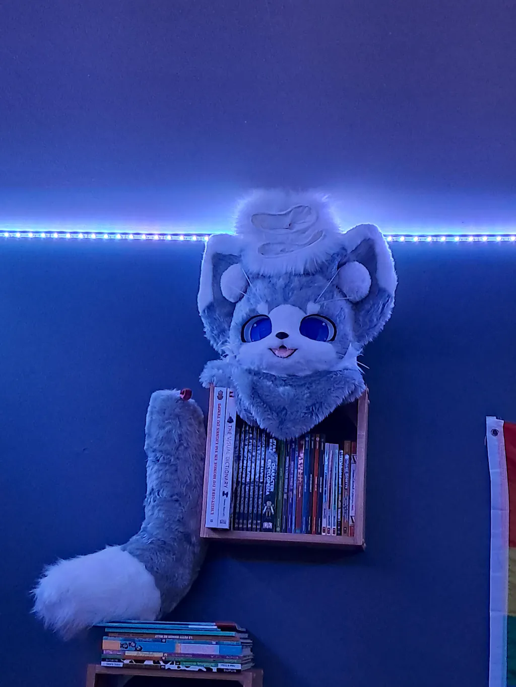 Realistic Fursuits for Sale | Fursuit Heads & Paws | DokidokiFursuit ...