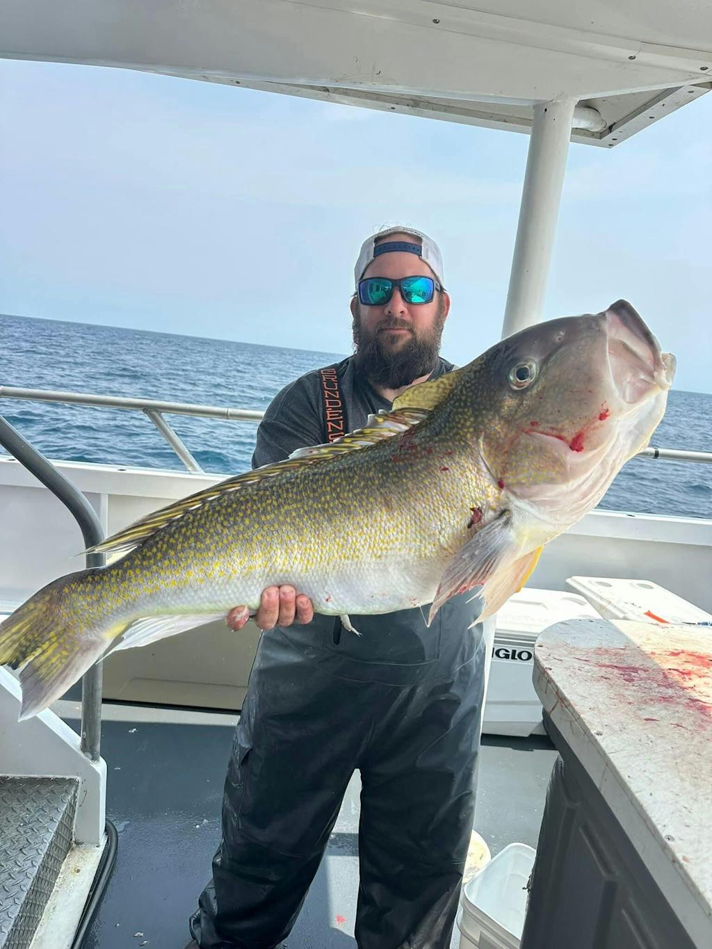 Dominion E-Rod Electric Fishing Rod: Power Your Passion – Dominion Rods