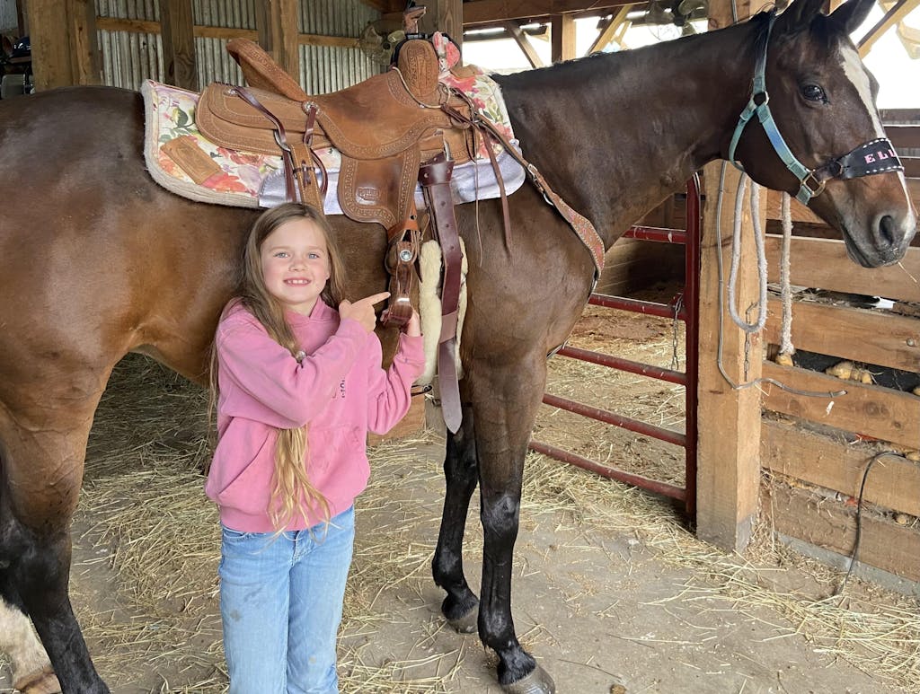 Custom Barrel Racing Stirrups For Western Saddles – Don Orrell Stirrups
