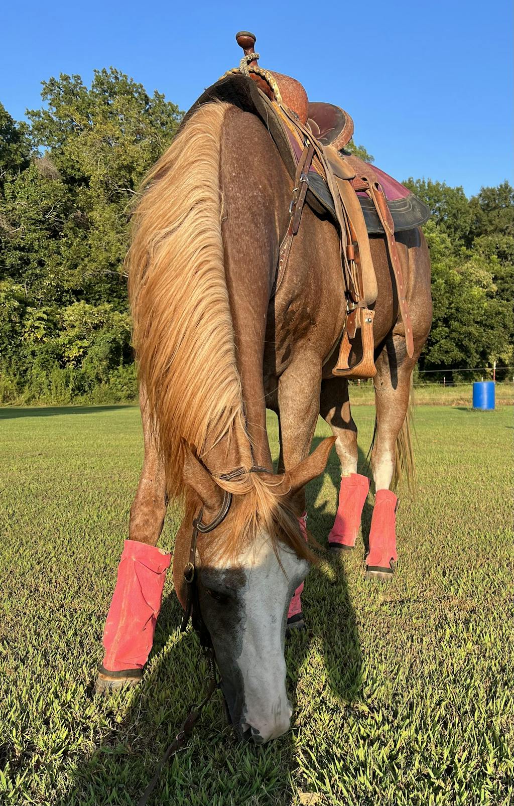 Custom Barrel Racing Stirrups For Western Saddles – Don Orrell Stirrups