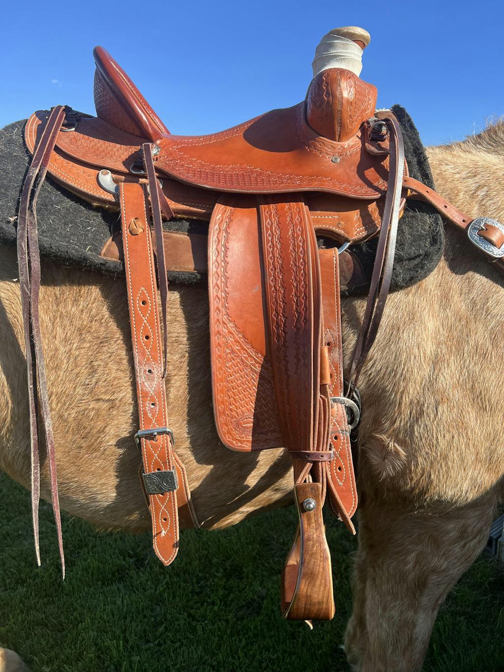 Angled Offset Stirrups | Our Most Comfortable Stirrup Yet – Don Orrell ...