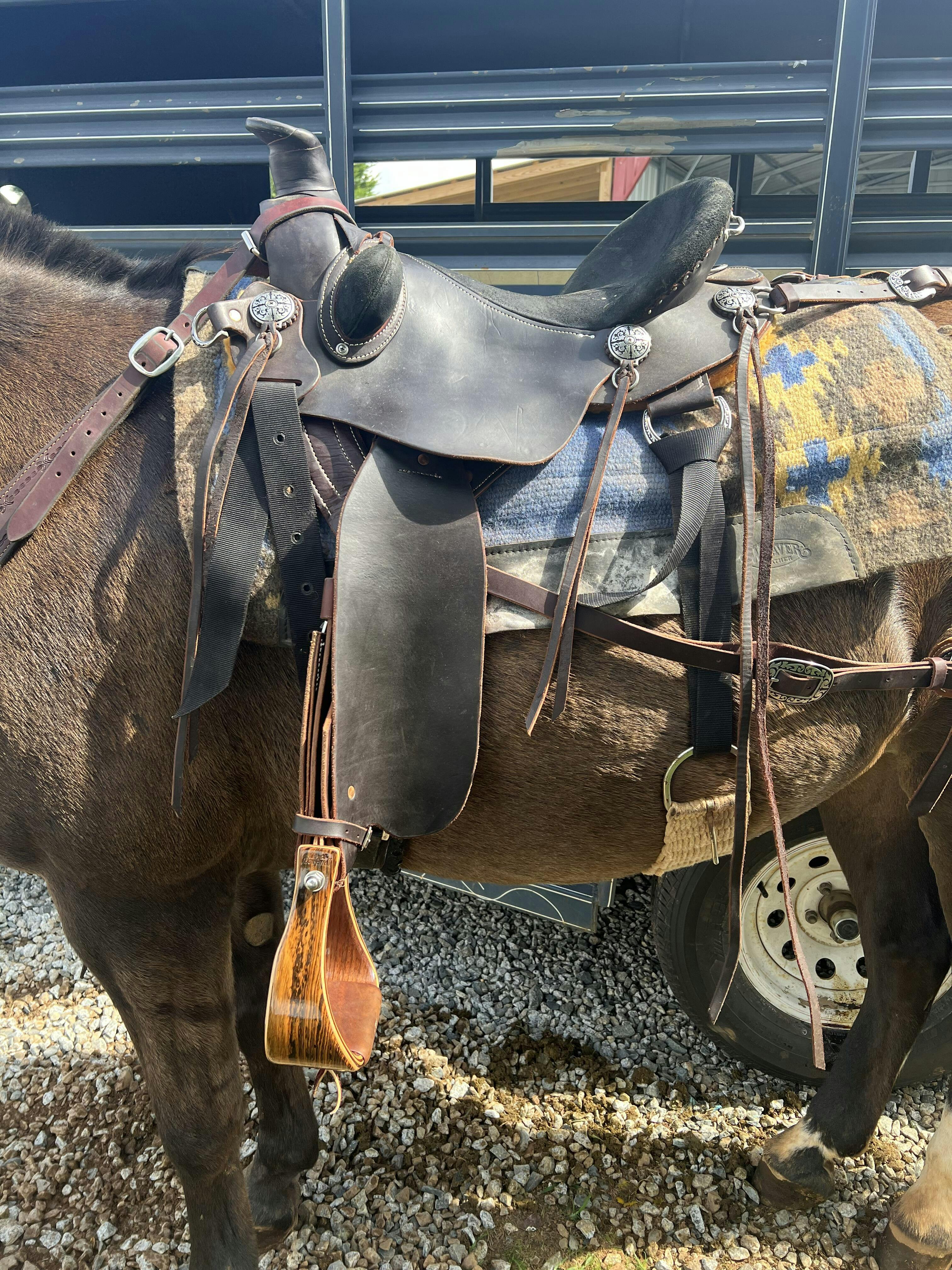 Angled Offset Stirrups | Our Most Comfortable Stirrup Yet – Don Orrell ...