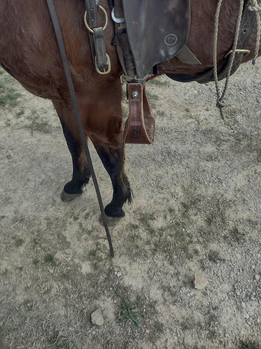 Buckaroo Stirrups | Extra Wide Stirrups For Western Saddles – Don ...