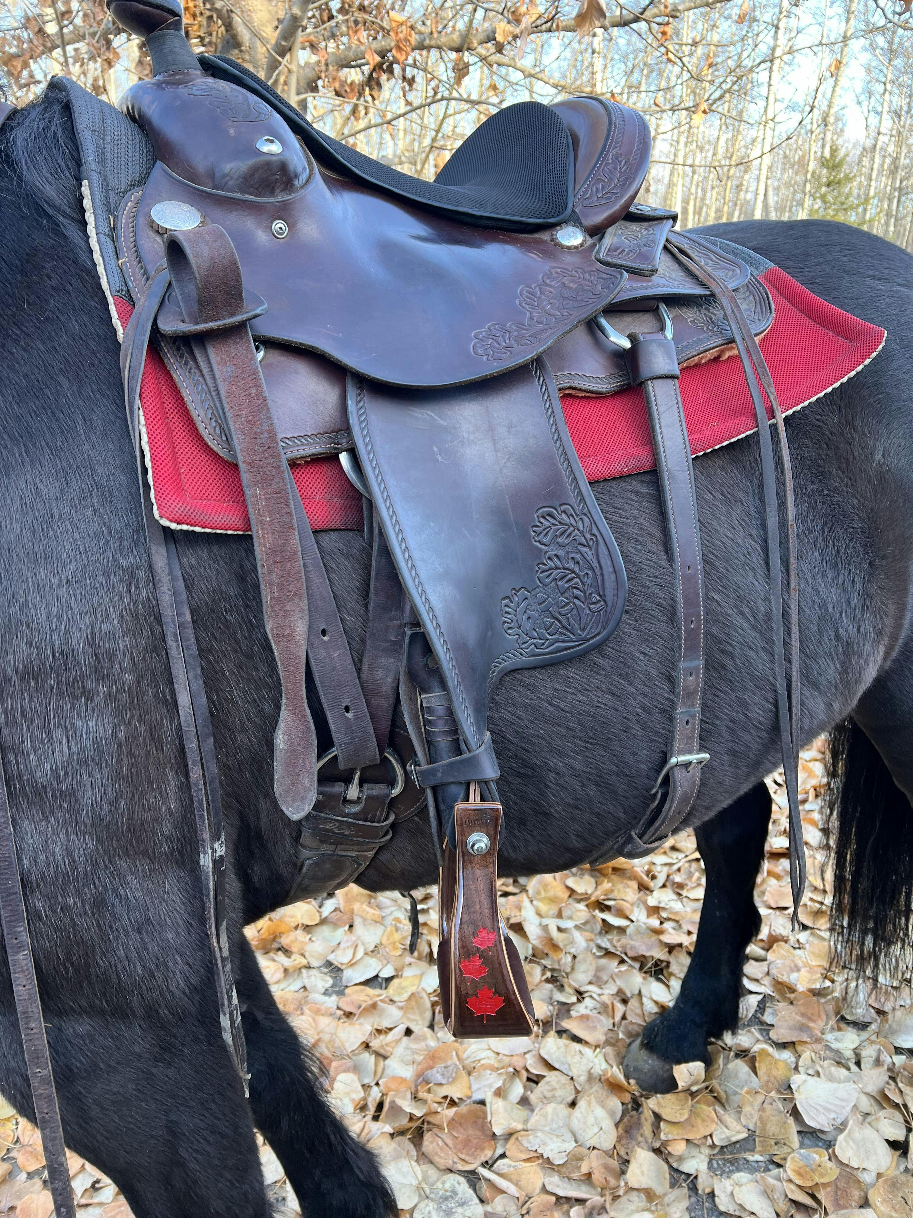 Angled Offset Stirrups | Our Most Comfortable Stirrup Yet – Don Orrell ...
