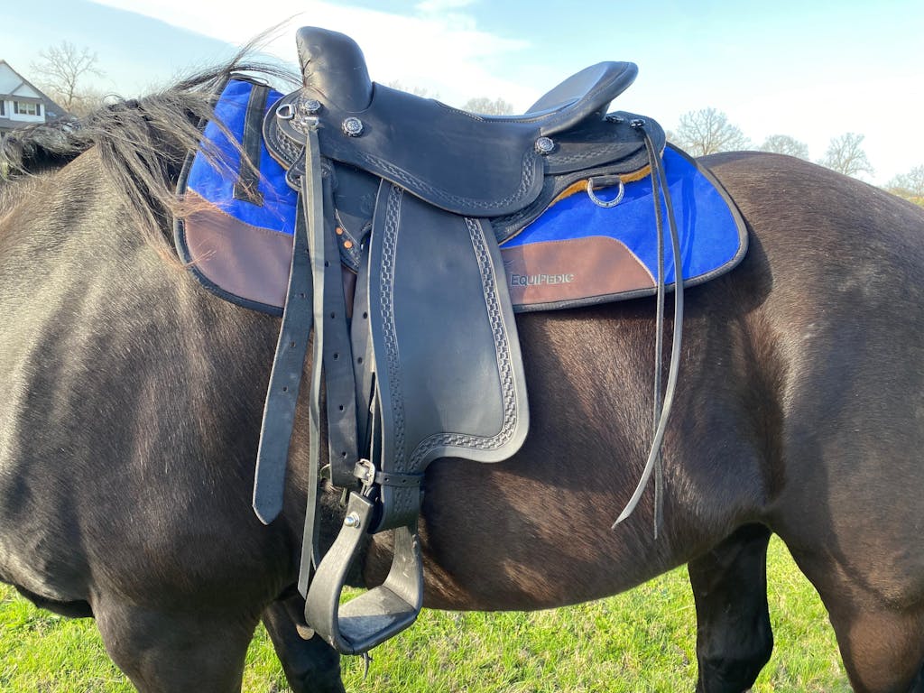Angled Offset Stirrups | Our Most Comfortable Stirrup Yet – Don Orrell ...