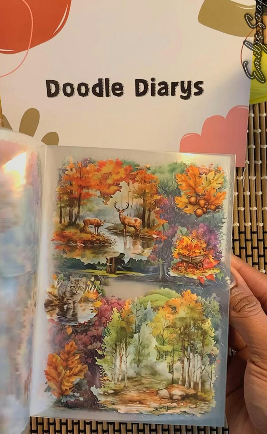 Secret Garden Sticker Book – Doodle Diarys