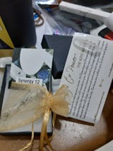 Synergy 12 Crystal Pendant - Moldavite Satyaloka Azeztulite Phenacite ...