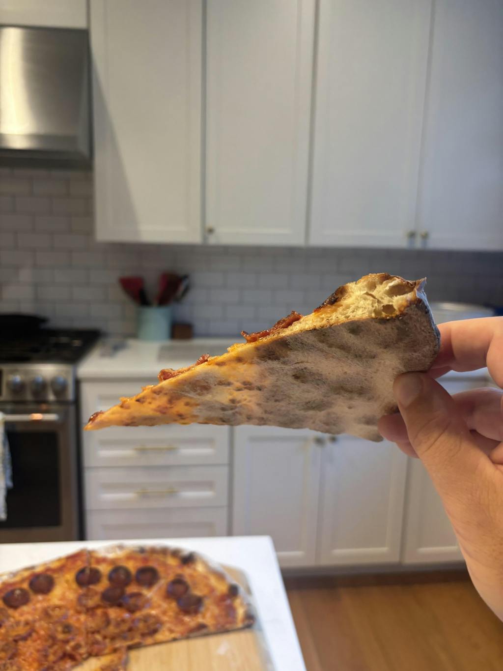 DOUGH GUY™ PIZZA STEEL – Dough Guy™