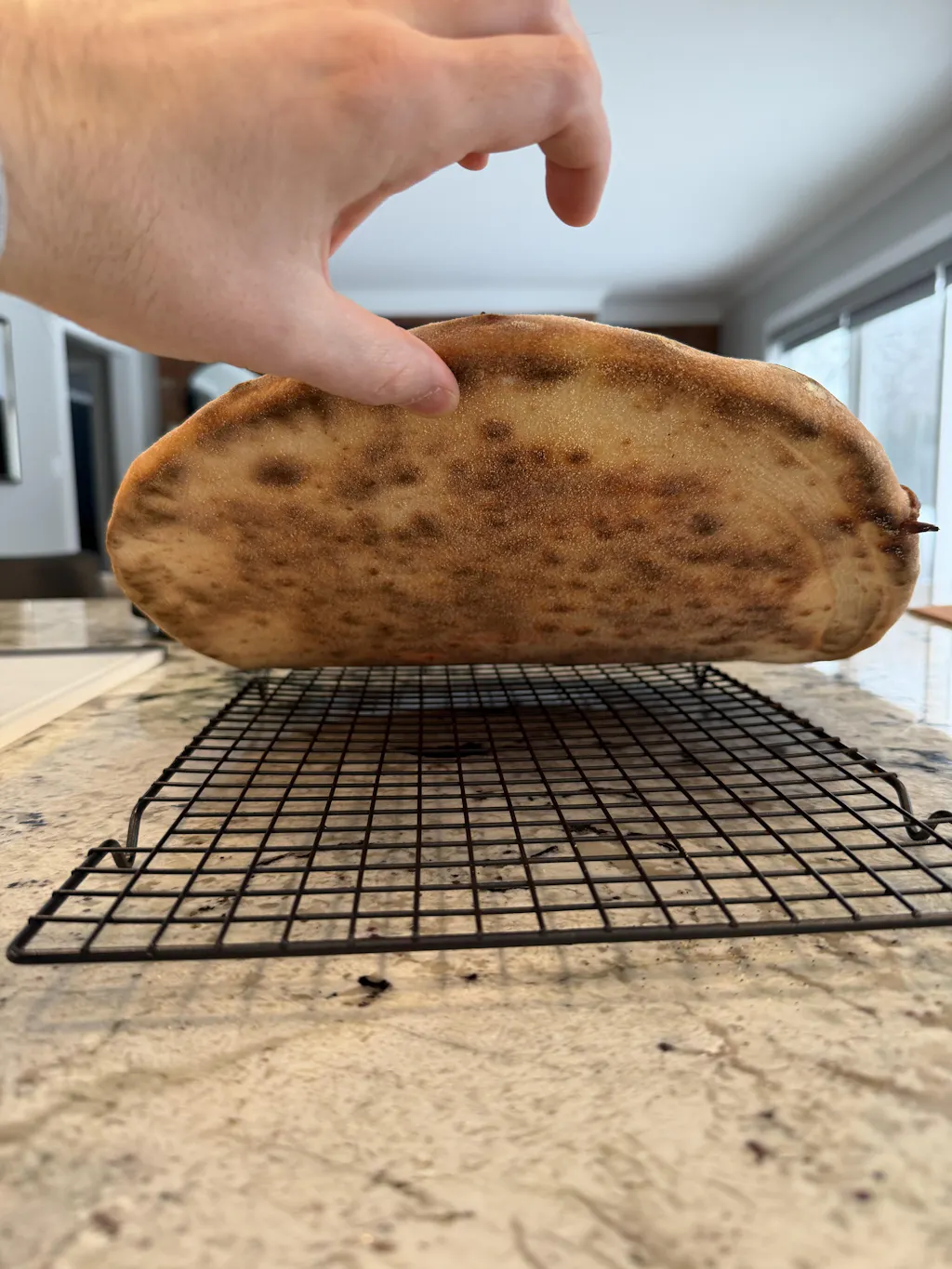 DOUGH GUY™ PIZZA STEEL – Dough Guy™