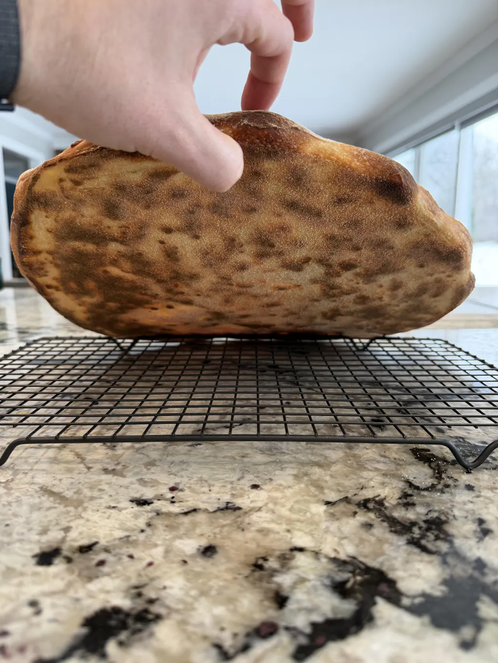 DOUGH GUY™ PIZZA STEEL – Dough Guy™