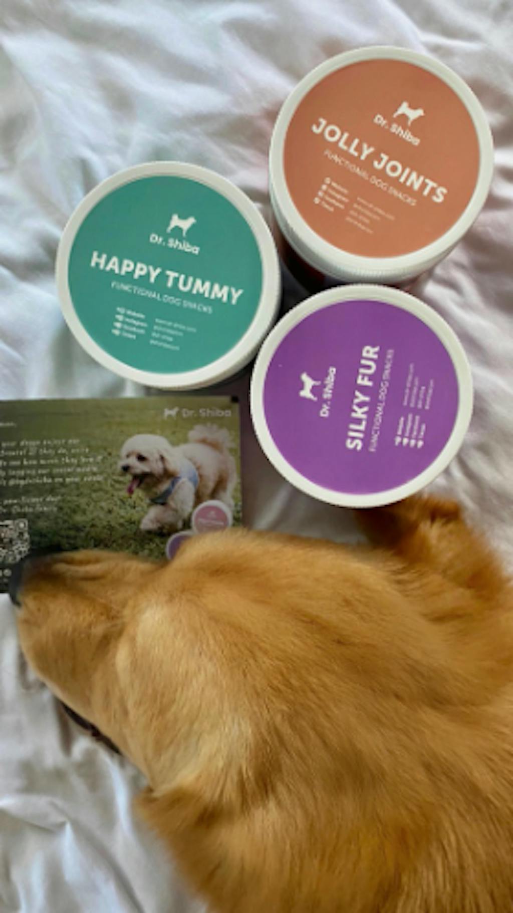 Dr. Shiba | dog supplements packed into treats - healthy and yummy – Dr ...