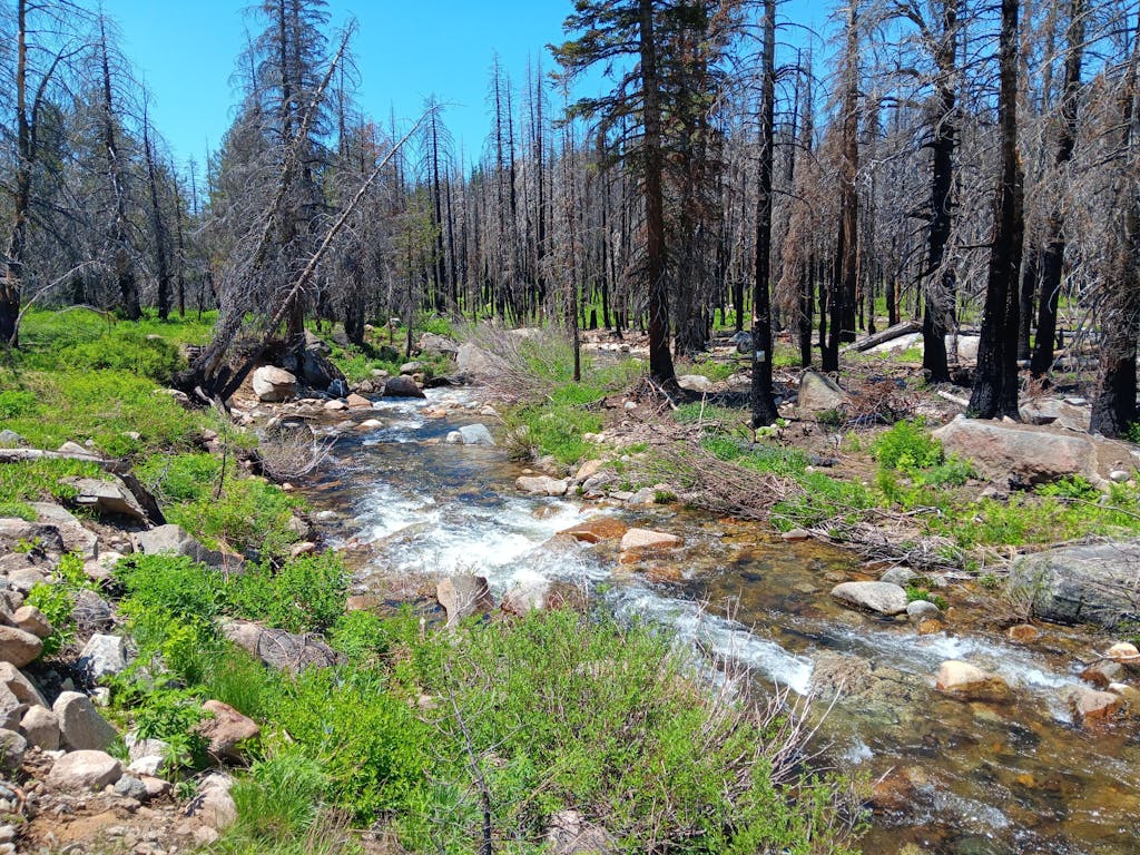 MIZUCHI zx340 Rod Replacement Part — DRAGONtail Tenkara