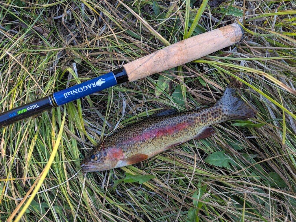 TalonMINI 310 Pocket Tenkara Rod — DRAGONtail Tenkara
