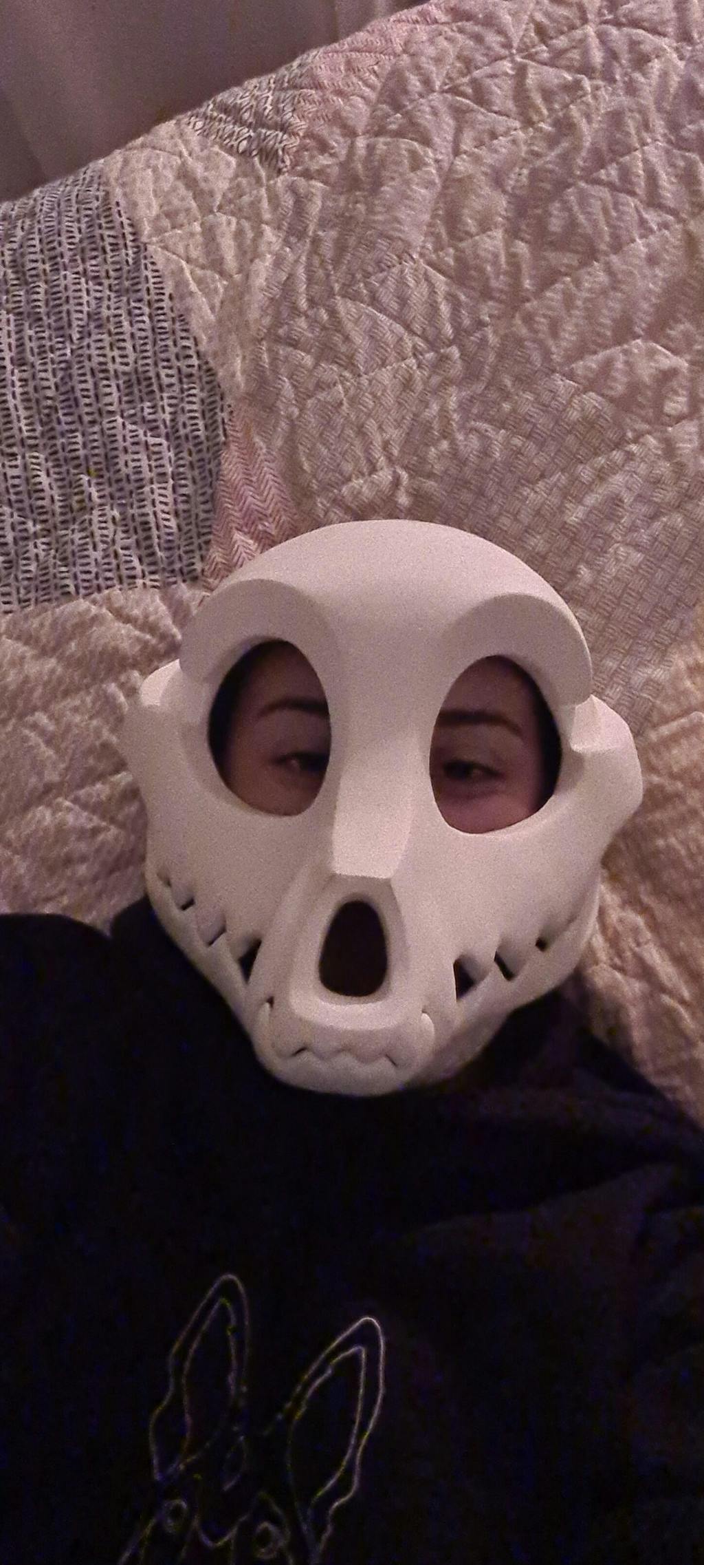 Cut and Hinged Toony Skull K9 Resin Mask Blank – DreamVision Creations