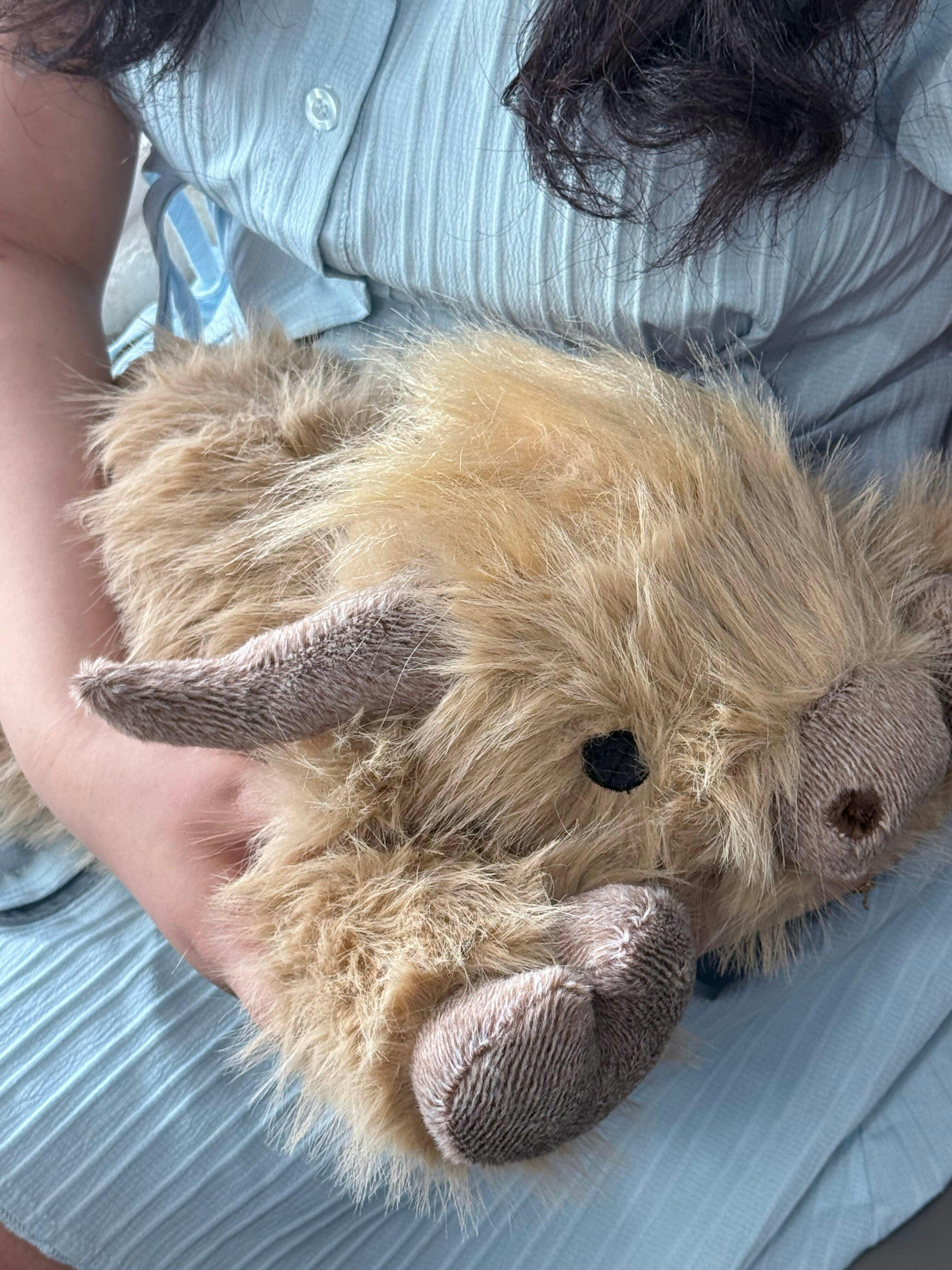 🥳 Mega Sale 60%OFF🎁Cute Cartoon Highland Cow Cuddly Toy🔥Buy 2 Free Shi – dressowy