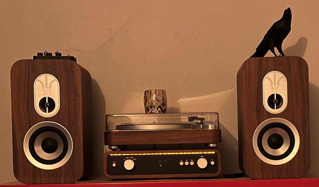 The Amplifier – Dum Audio