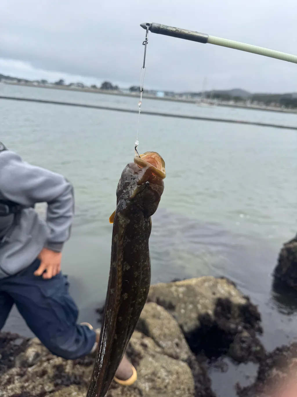 Bay Area Guided Crab Snaring and Poke Pulling Combo Fishing Trip - DUR ...