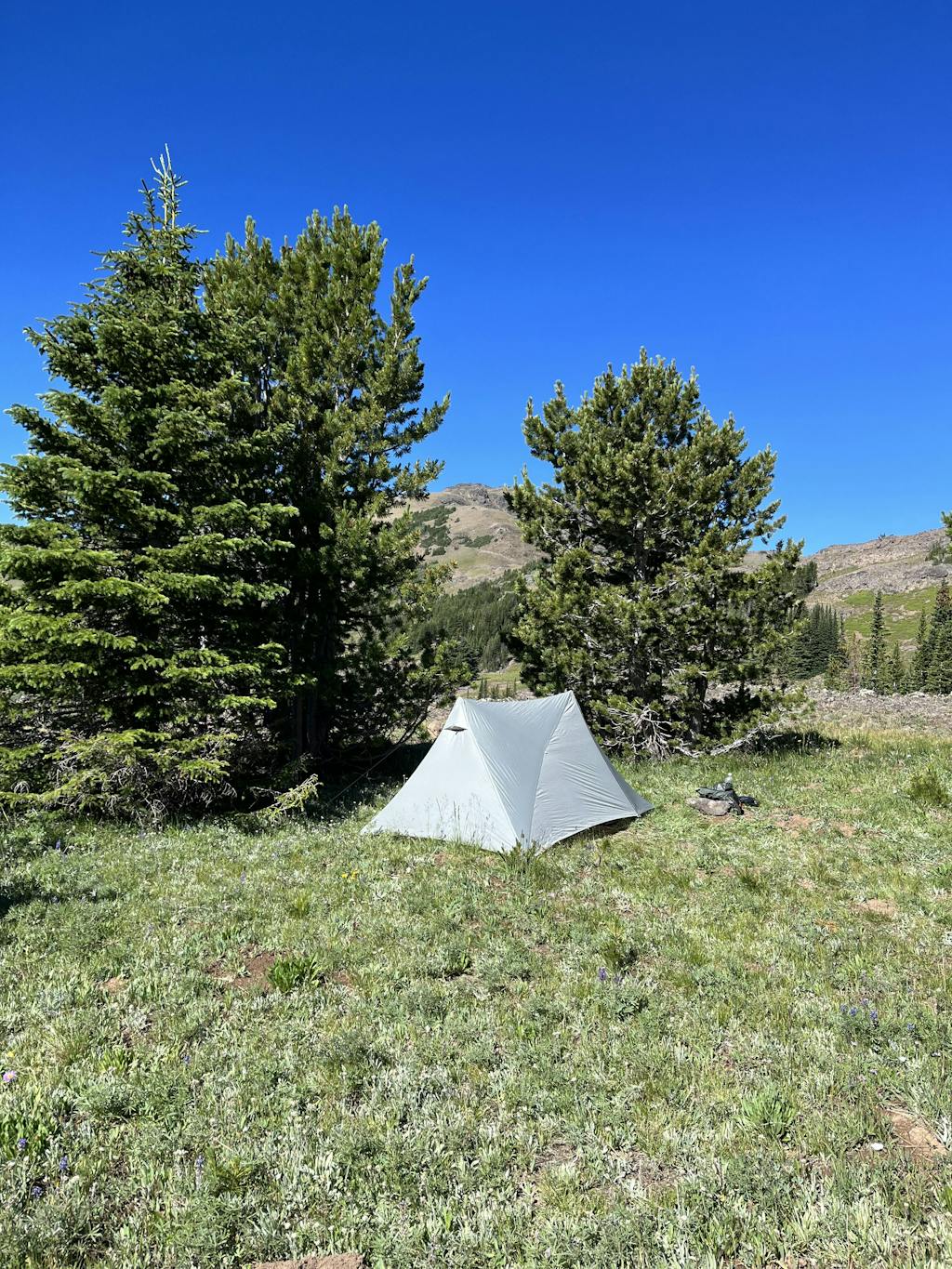 Durston | X-Mid 1 Ultralight Tent