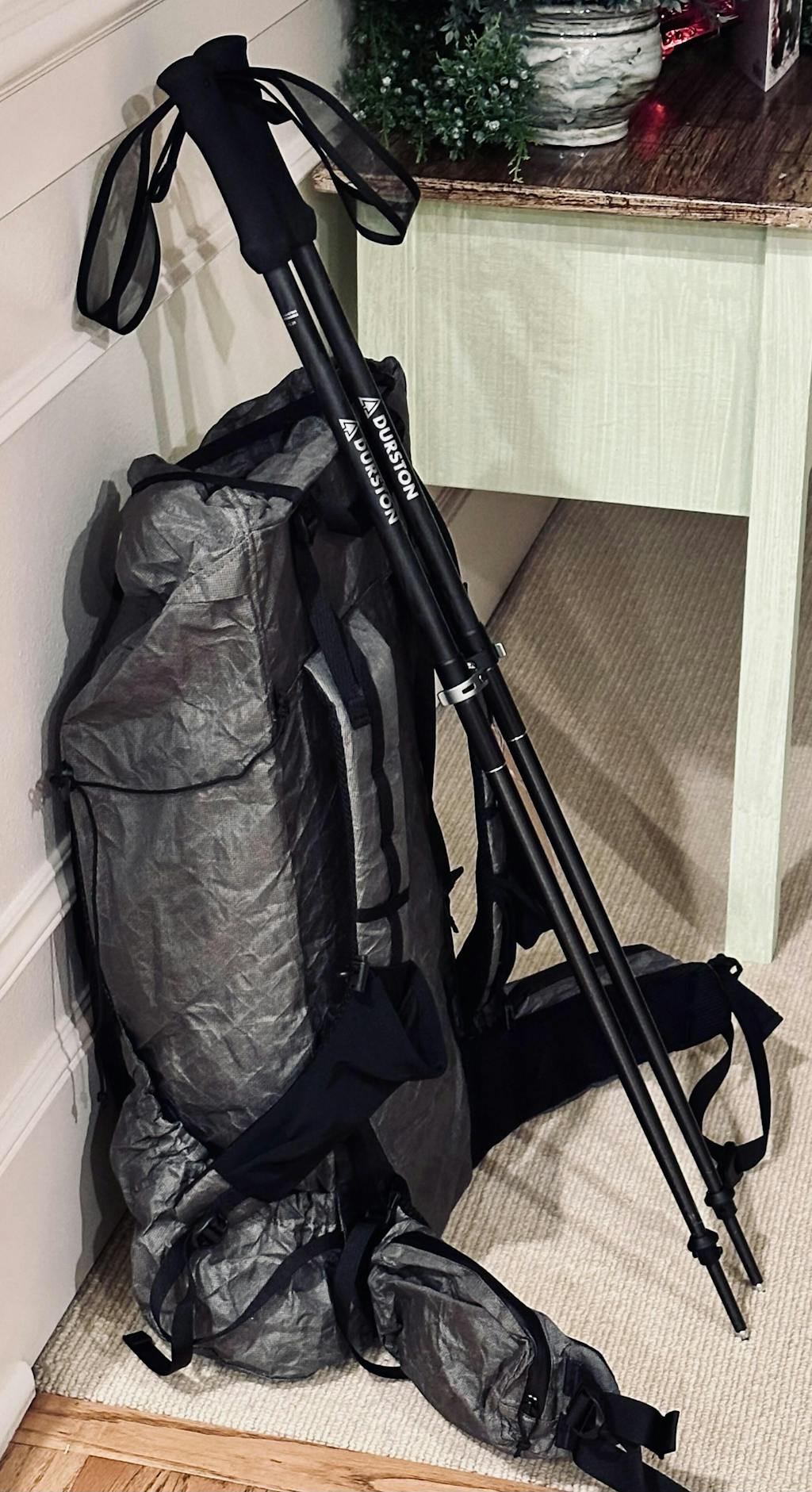 Iceline Trekking Poles