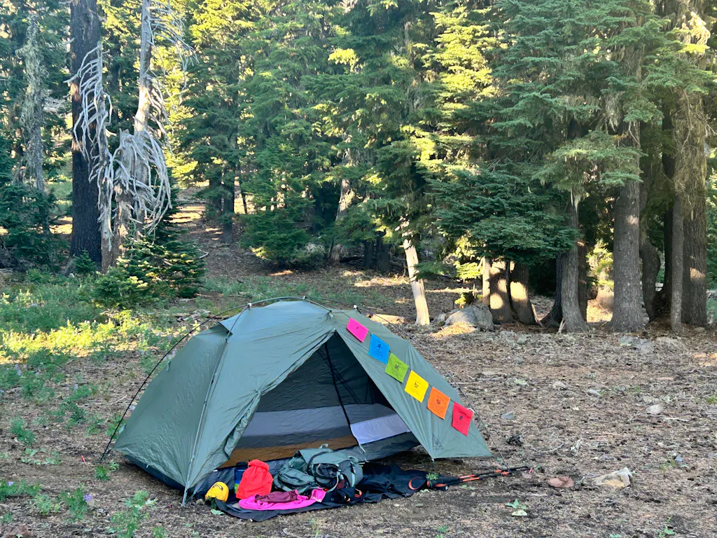 X-Dome 1+