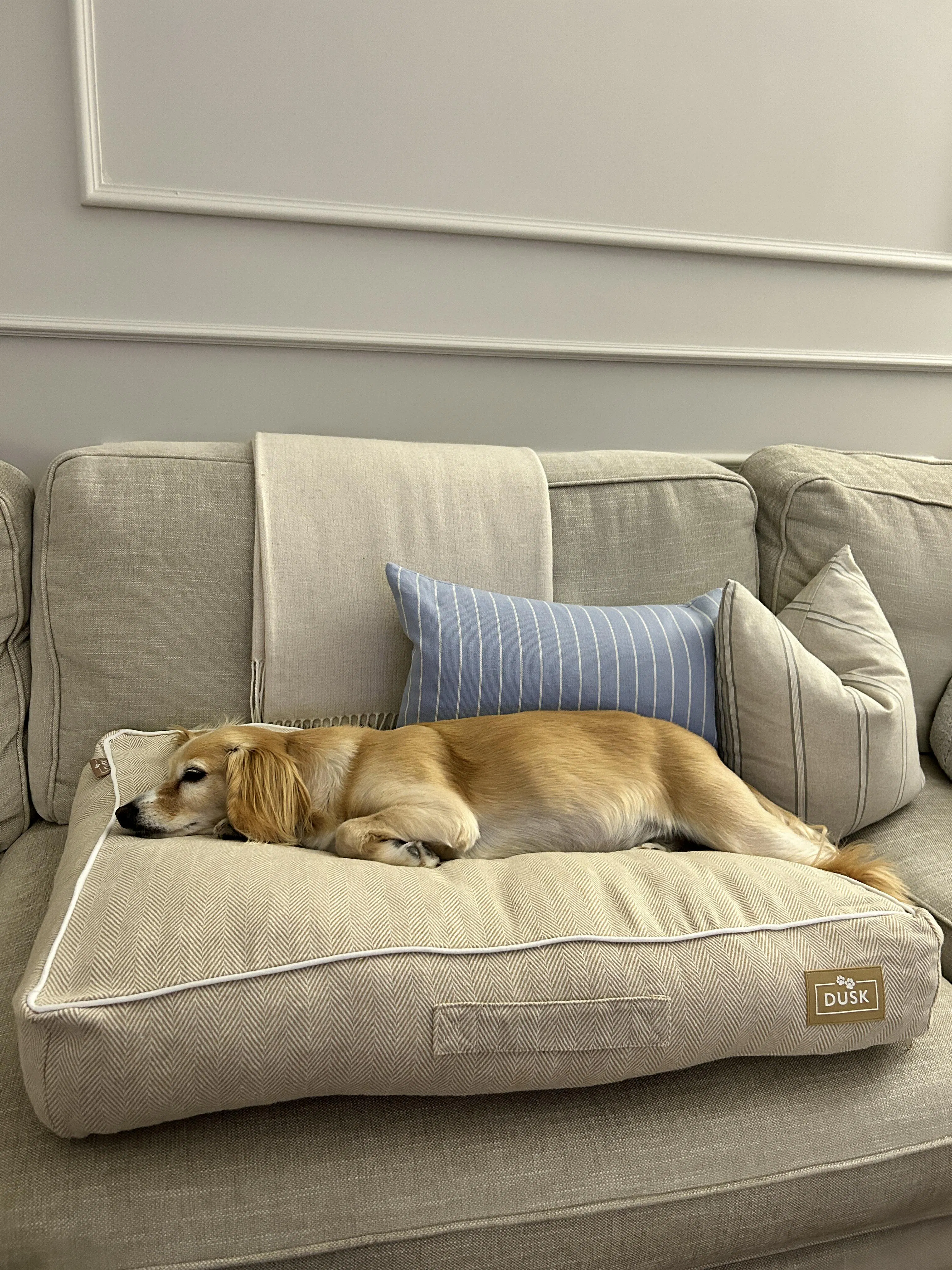 Bailey Pillow Dog Bed - Natural Herringbone – DUSK